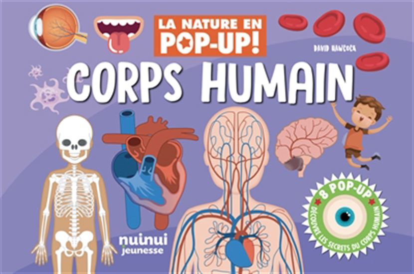 Human Body: Pop-up